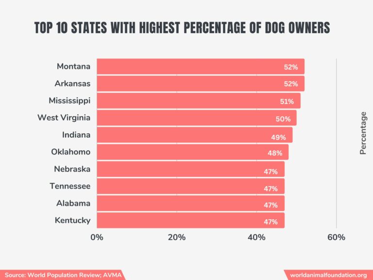 How Many Dogs Are In The US In 2025