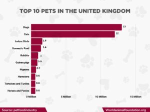 All About Pet Ownership Statistics UK – Nation of Pet Lovers