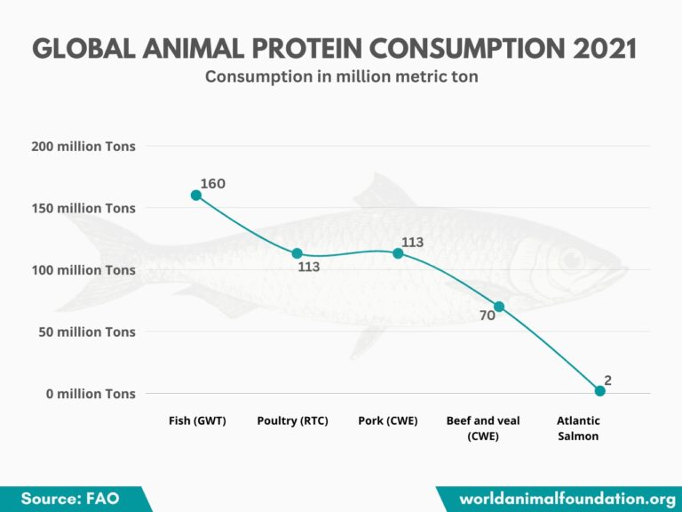 Overfishing Statistics – Global Perspective On Fish Stocks
