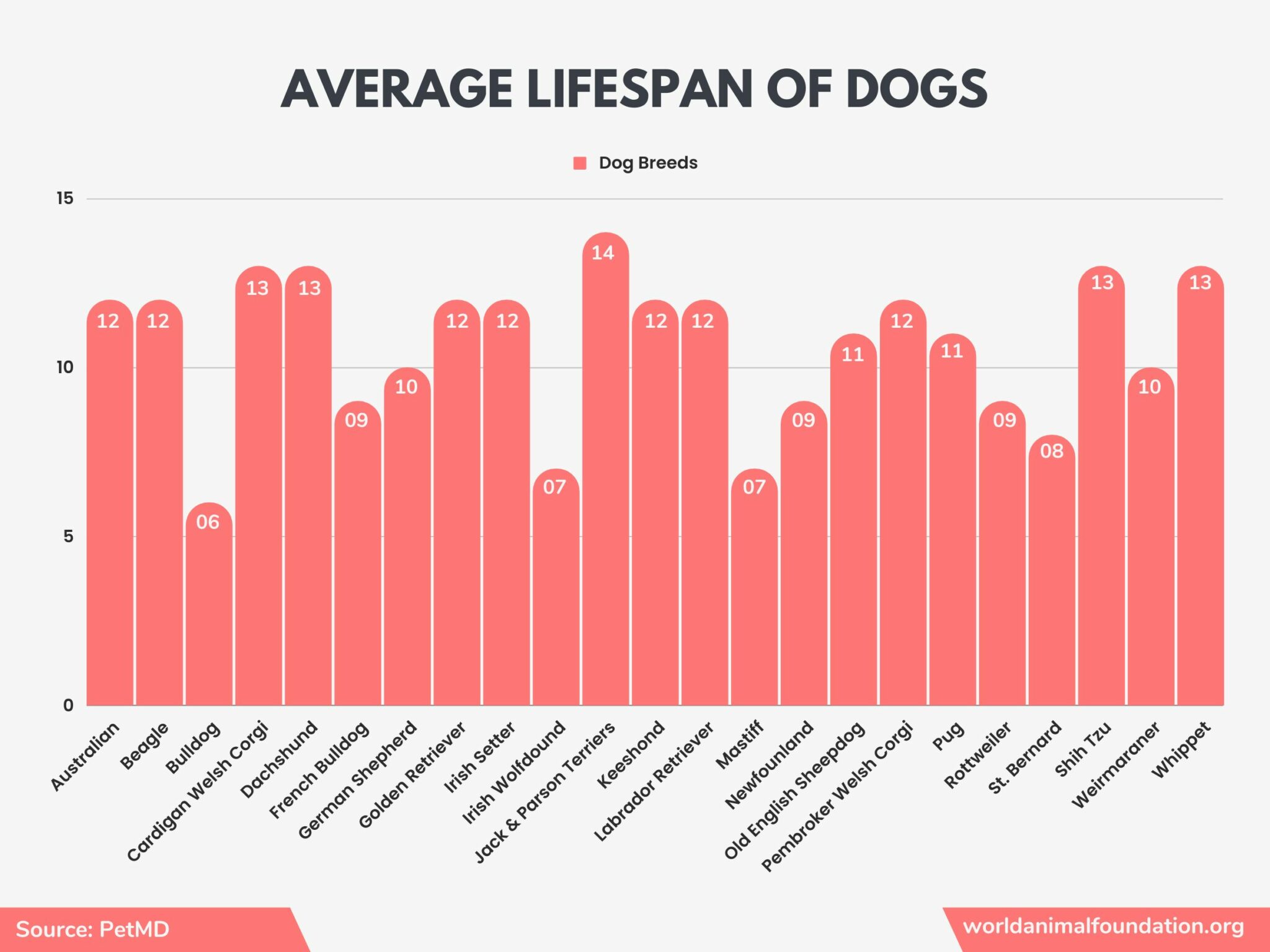 How Many Dogs Are In The US In 2025