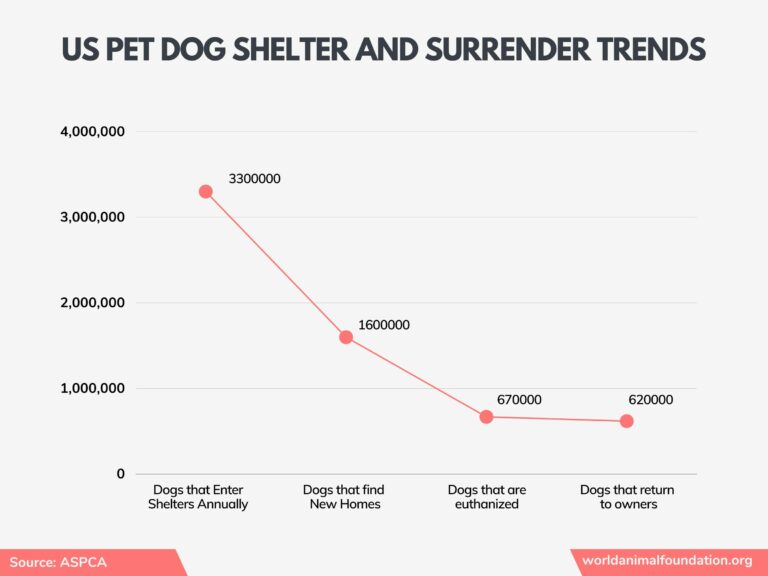 How Many Dogs Are In The US In 2025