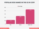 How Many Dogs Are In The US In 2025