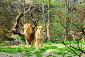 Devastating Deforestation Statistics: Impact Of Forest Loss