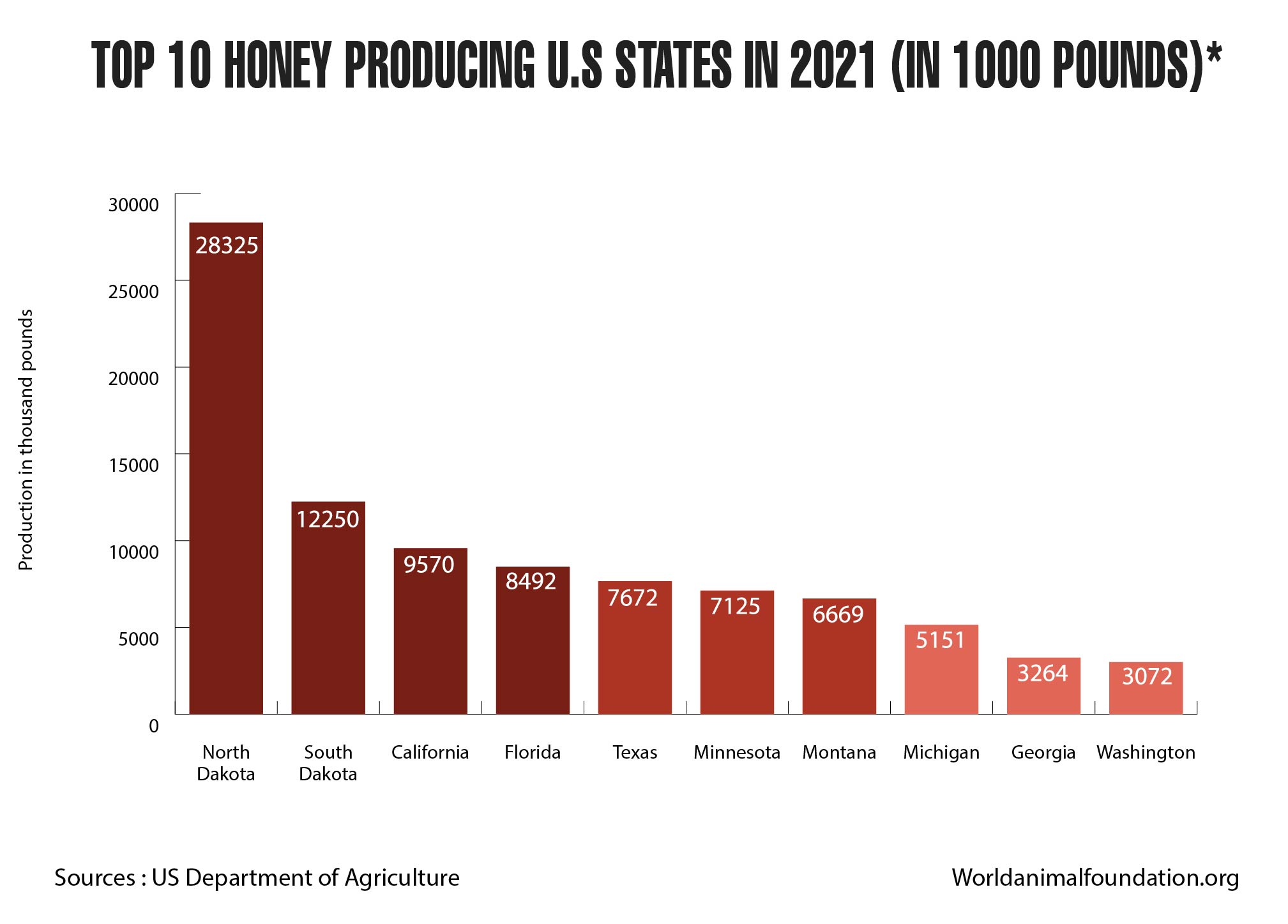 Interesting Facts About Bees That You Probably Didn’t Know