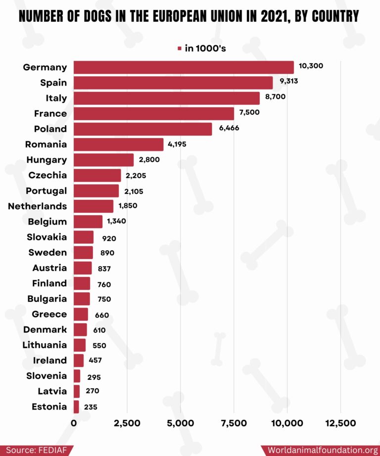 How Many Dogs Are In The World In 2025? - TOP DOG SITE