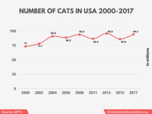 How Many Cats Are In The USA? Cats Really Rule The World!