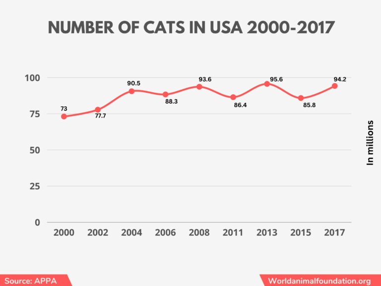 How Many Cats Are In The USA? Cats Really Rule The World!