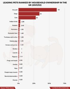 Interesting Statistics About The Most Popular Pets In UK