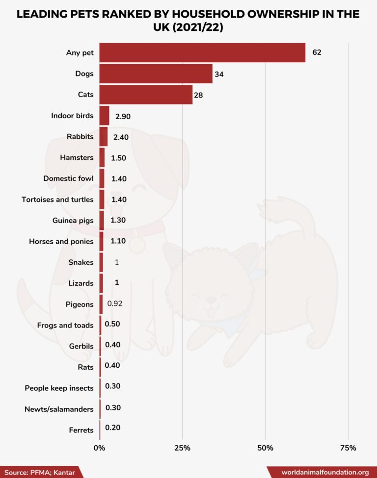 Interesting Statistics About The Most Popular Pets In UK