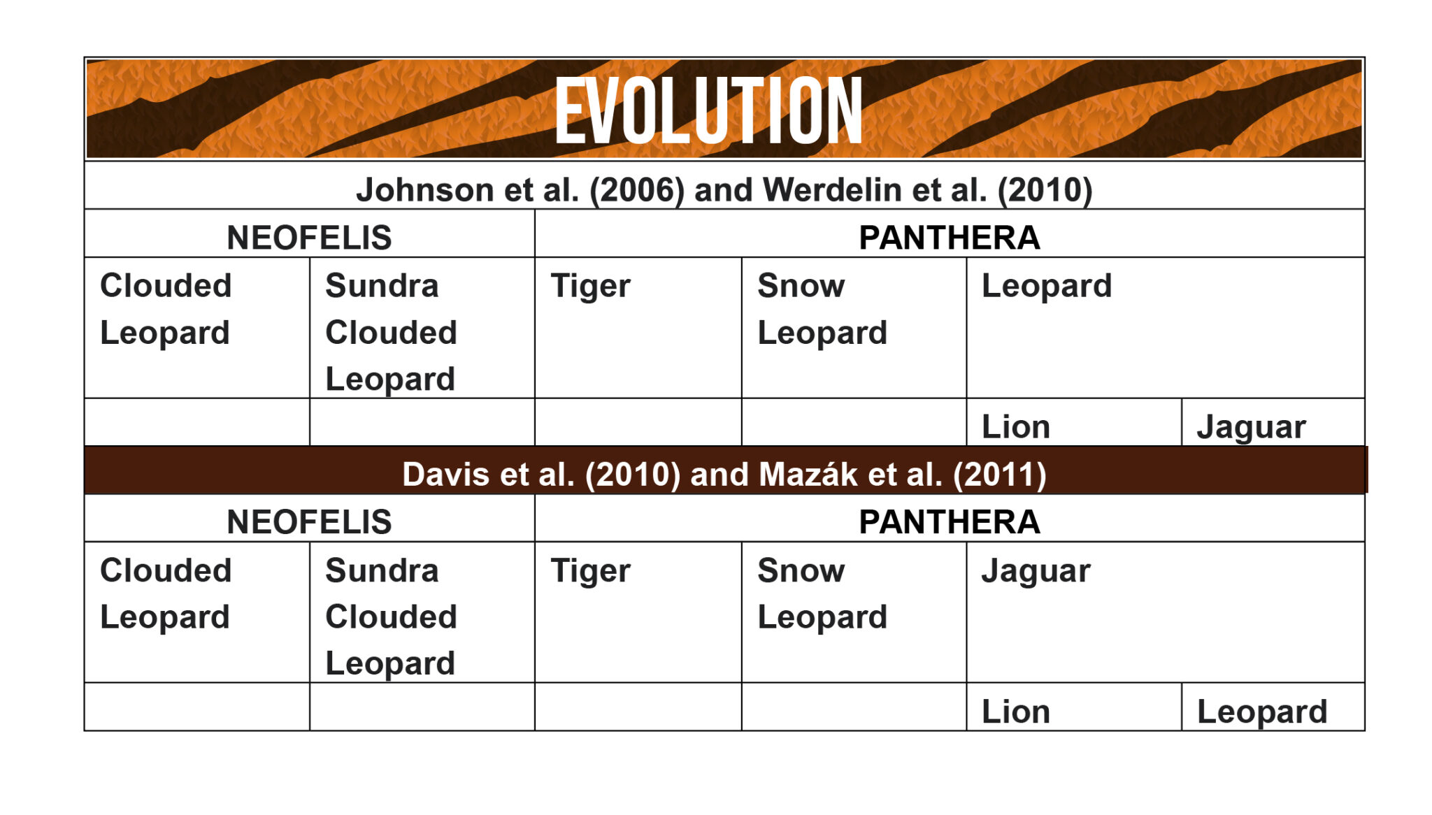 Lion - All You Need To Know About The King Of The Beasts!!