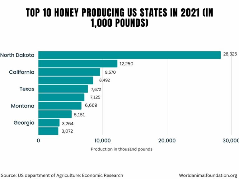 Bee Statistics & Crucial Facts That You Must Know in 2023!