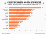 Cat Statistics That All Cat Lovers Should Know In 2024