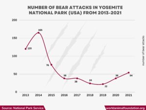 Bear Attacks Statistics – Global Pandemonium Perspective