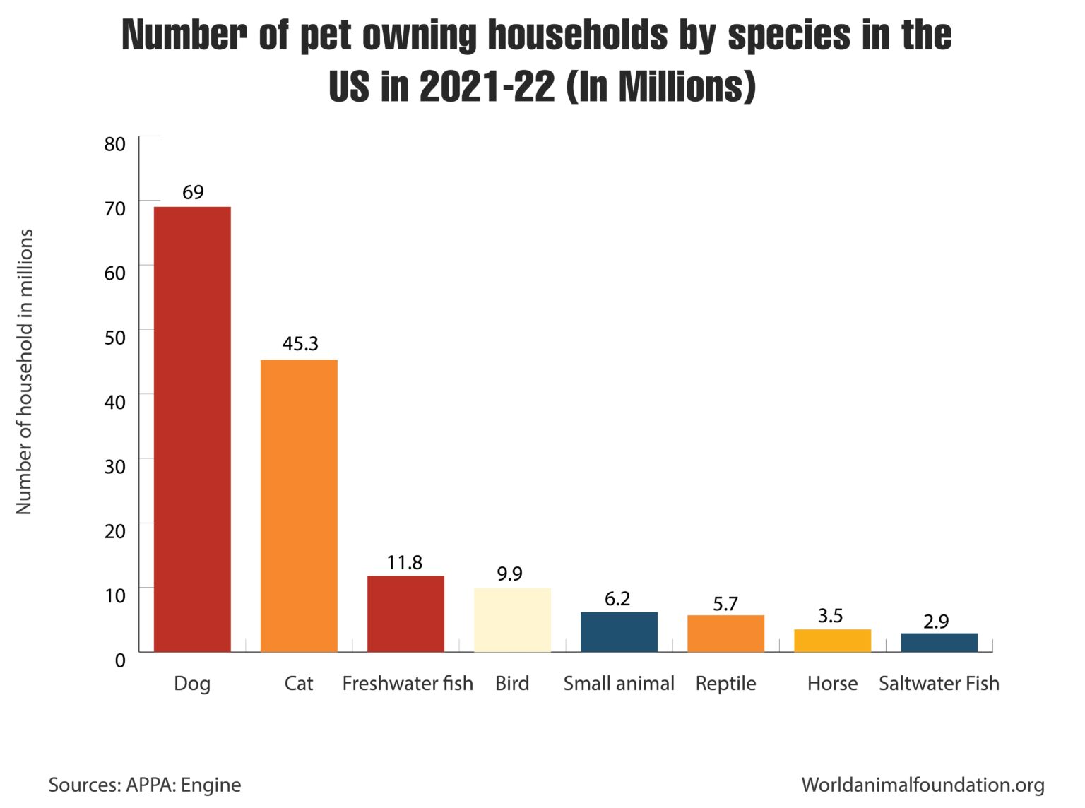Shocking Pet Adoption Statistics And Figures