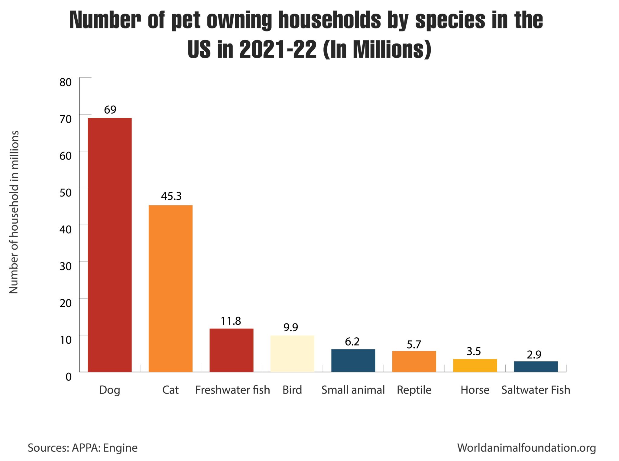 Shocking Pet Adoption Statistics And Figures