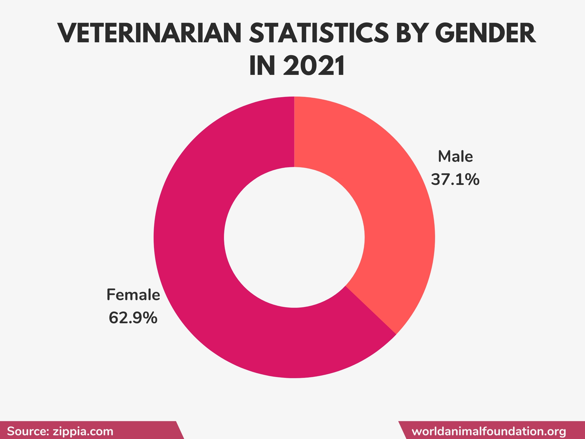 Veterinarian Statistics For Those Looking To Help Animals