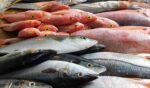 Overfishing Statistics & Facts You Should Know In 2025