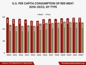 The Meaty Truth: A Deep Dive Into US Meat Consumption Trends