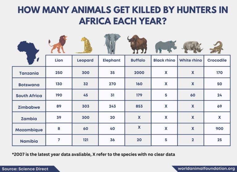 Hunting Wild Animals To Extinction - How Can We Stop It?