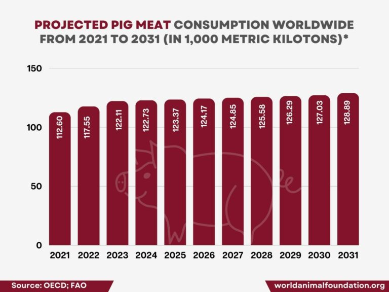 Most Consumed Meat In The World: Which Meat Reigns Supreme?