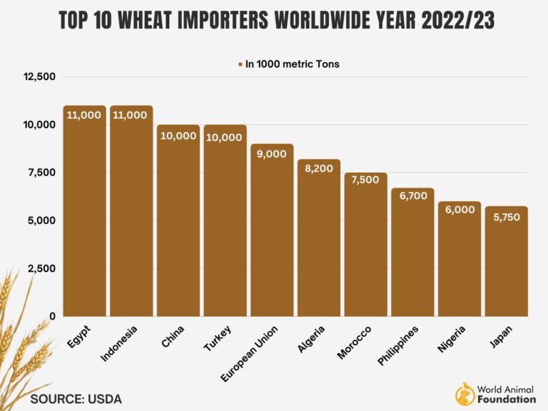 Flour Power: A Look At The Top Wheat Exports By Country