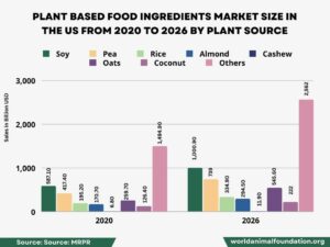 The Rise Of Veganism: How Many Vegans Are In The US?