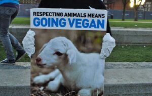 Unpacking The Ethics And Goals Of The Animal Rights Movement