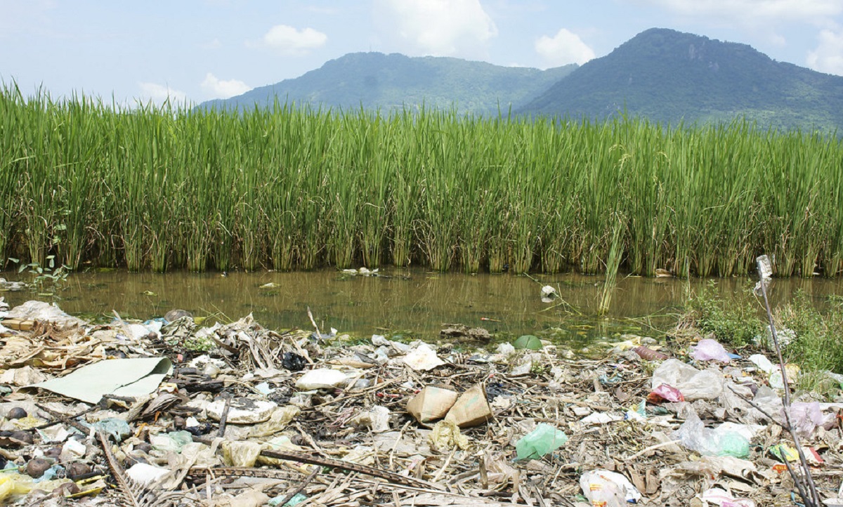 Breathing In Danger: Shocking Truth About Pollution Facts