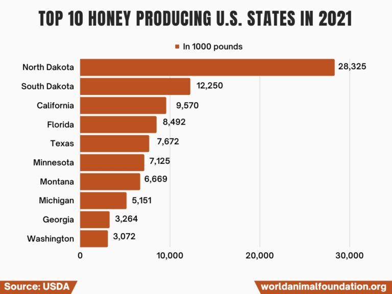 Bee Statistics & Crucial Facts That You Must Know In 2023!