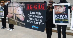 Unpacking The Ethics And Goals Of The Animal Rights Movement