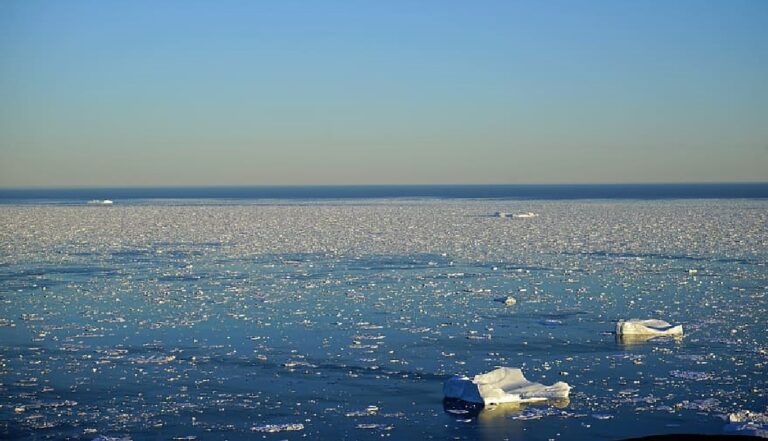 What Lies Beneath: Startling Ocean Pollution Facts Revealed