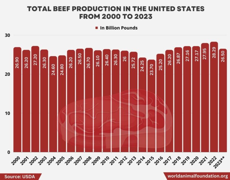 What State Produces The Most Beef: A Comprehensive Analysis