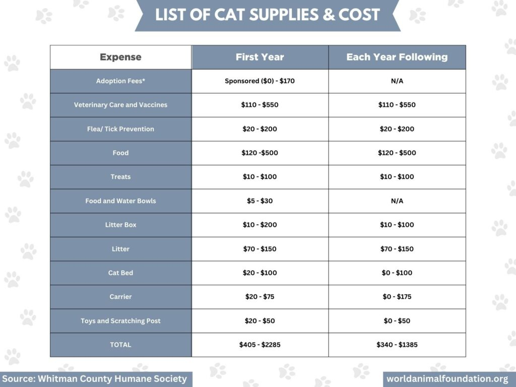 How Much Does A Cat Cost? Guide To Cat's Overall Expenses