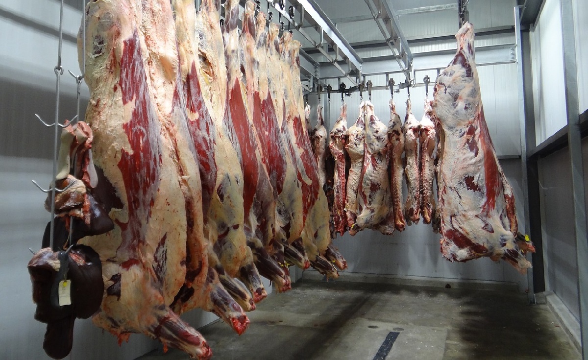 What State Produces The Most Beef: A Comprehensive Analysis