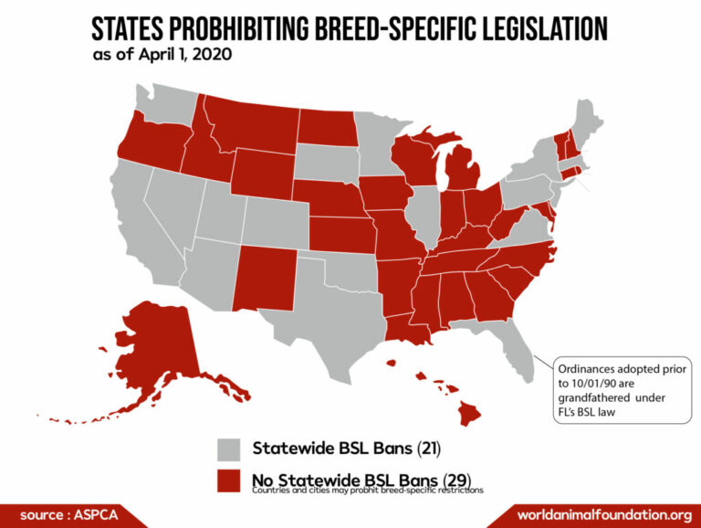 Breed Specific Legislation - Is Stereotyping Dangerous!!!