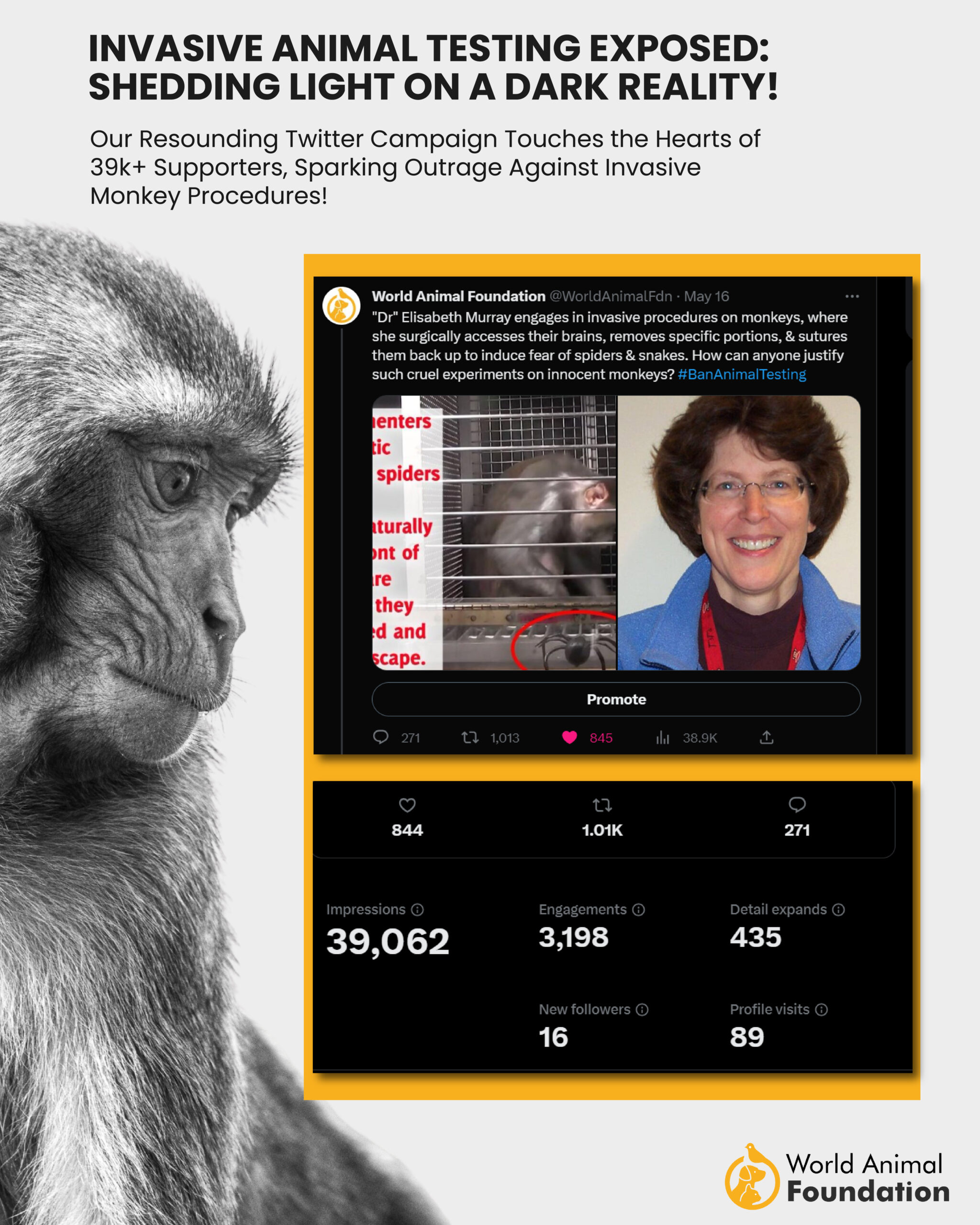 Our Impactful Twitter Campaign Exposes Cruel Animal Testing