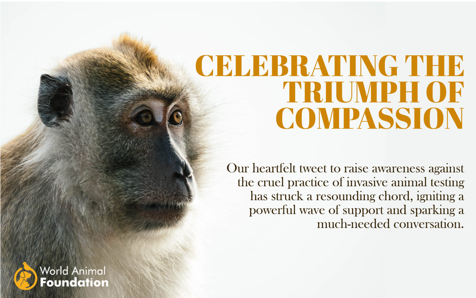 Our Impactful Twitter Campaign Exposes Cruel Animal Testing