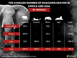 What Is Poaching? The Horrendous Crime Explained