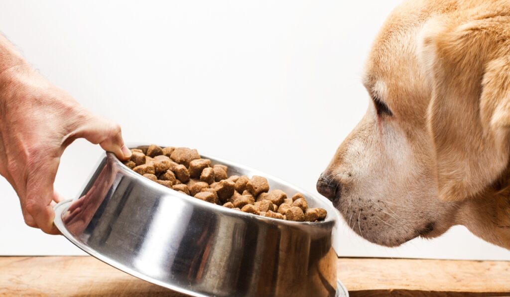 Dog Food Calculator Personalized Feeding Guide For Pups dog-food-calculator-personalized-feeding-guide-for-pups