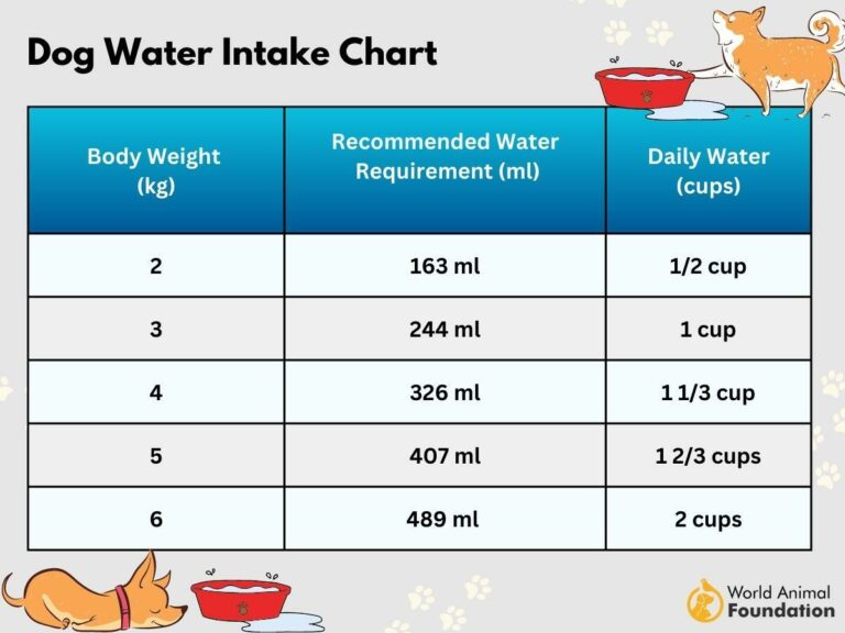 Dog Water Intake Calculator For Healthy Hydration For Pups