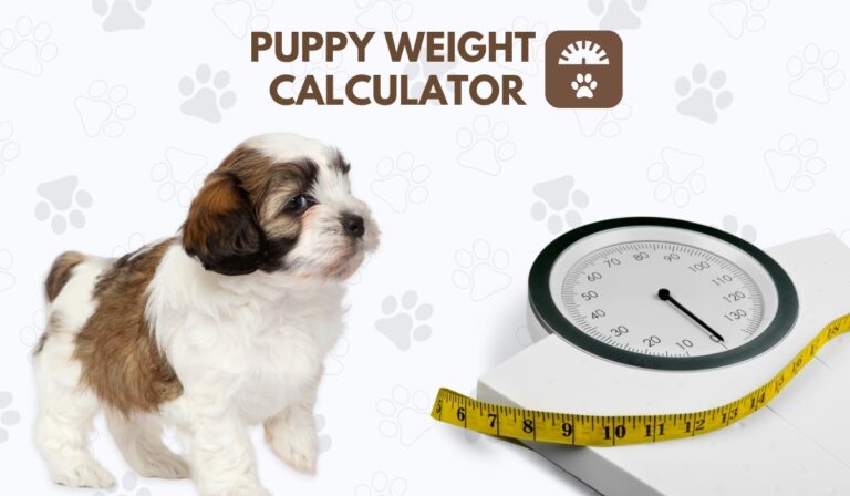 Puppy Weight Calculator - How Big Will My Dog Get?