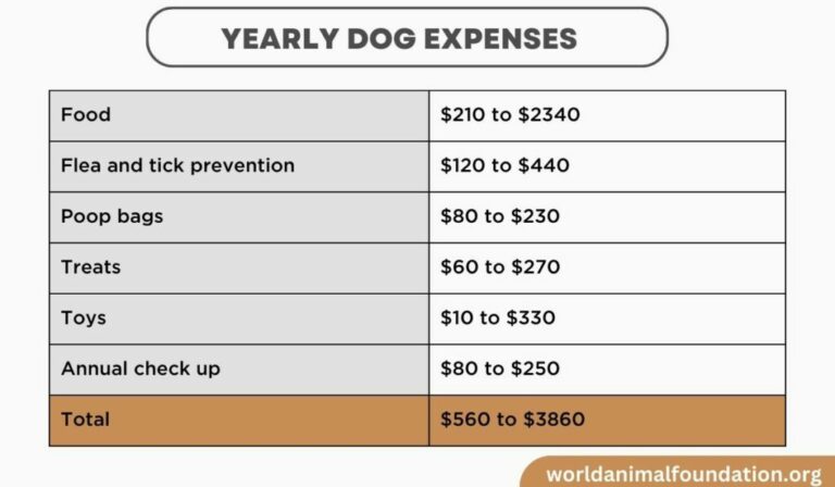 How Much Does It Cost To Own A Dog In 2025