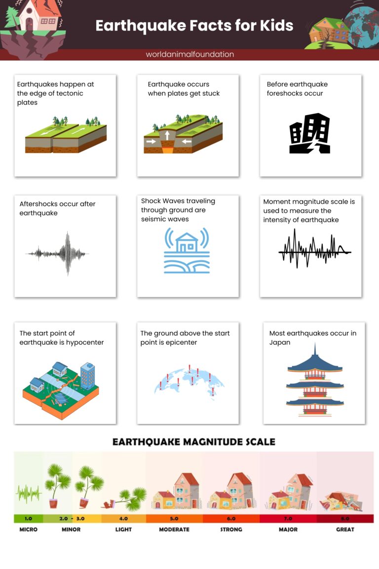 Facts About Earthquakes - Understanding The Power Of Nature