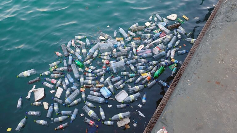 Facts About Plastic Pollution: Facts And Figures That Matter