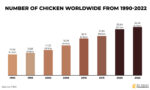 How Many Chickens Are In The World? Facts From The Frontline