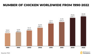 How Many Chickens Are In The World? Facts From The Frontline