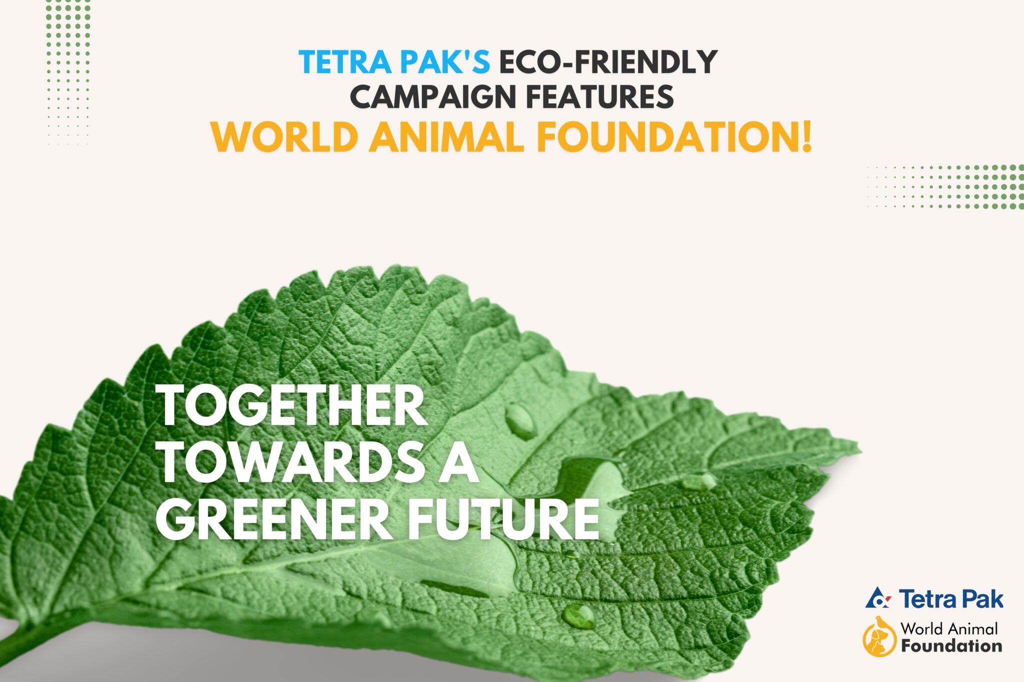 Tetra Pak Campaign Featuring WAF Reaches 1.1 M Views!