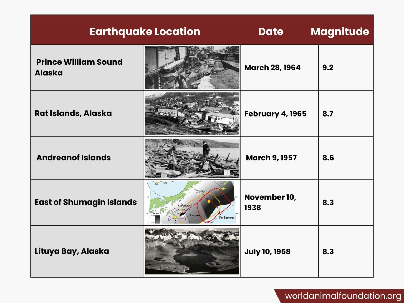 Facts About Earthquakes - Understanding The Power Of Nature
