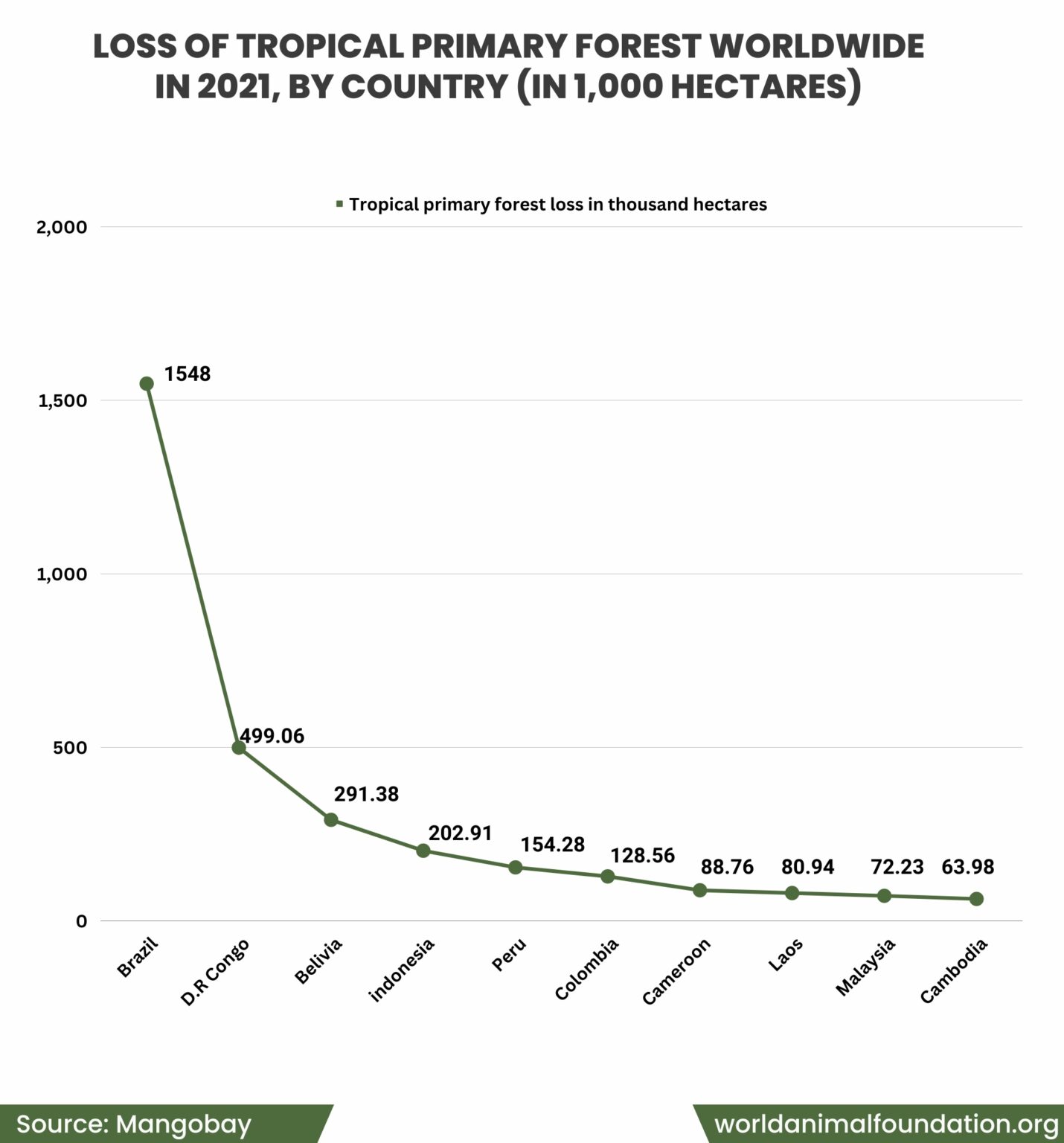 Rainforest Facts: Breathtaking Insights Of Nature’s Treasure