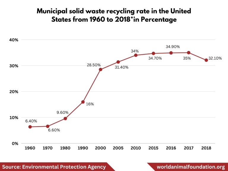 Eye-Opening Recycling Facts: Impact Of Sustainable Practices